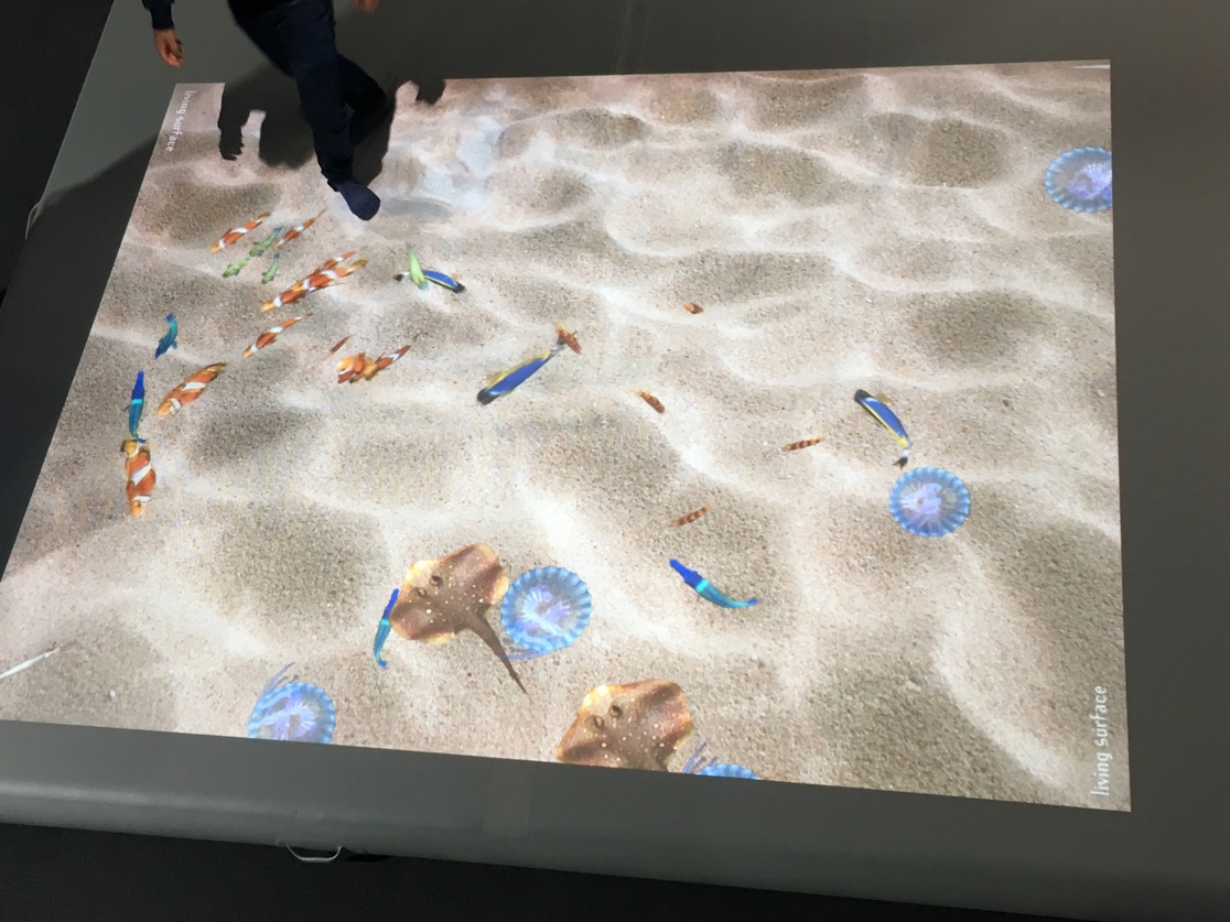 Interactive projector - Altitude Trampoline Park Málaga